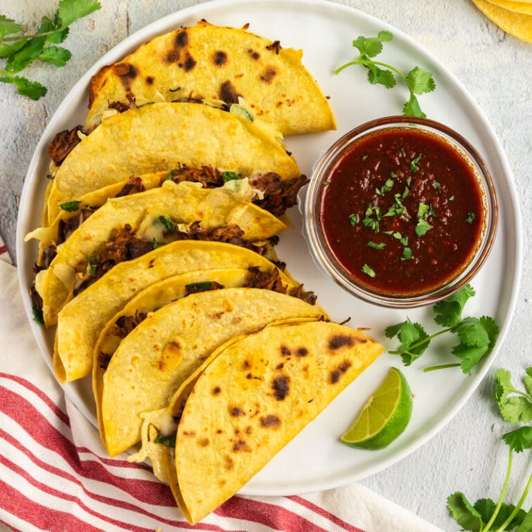 The BEST Quesabirria Tacos - The Big Man's World