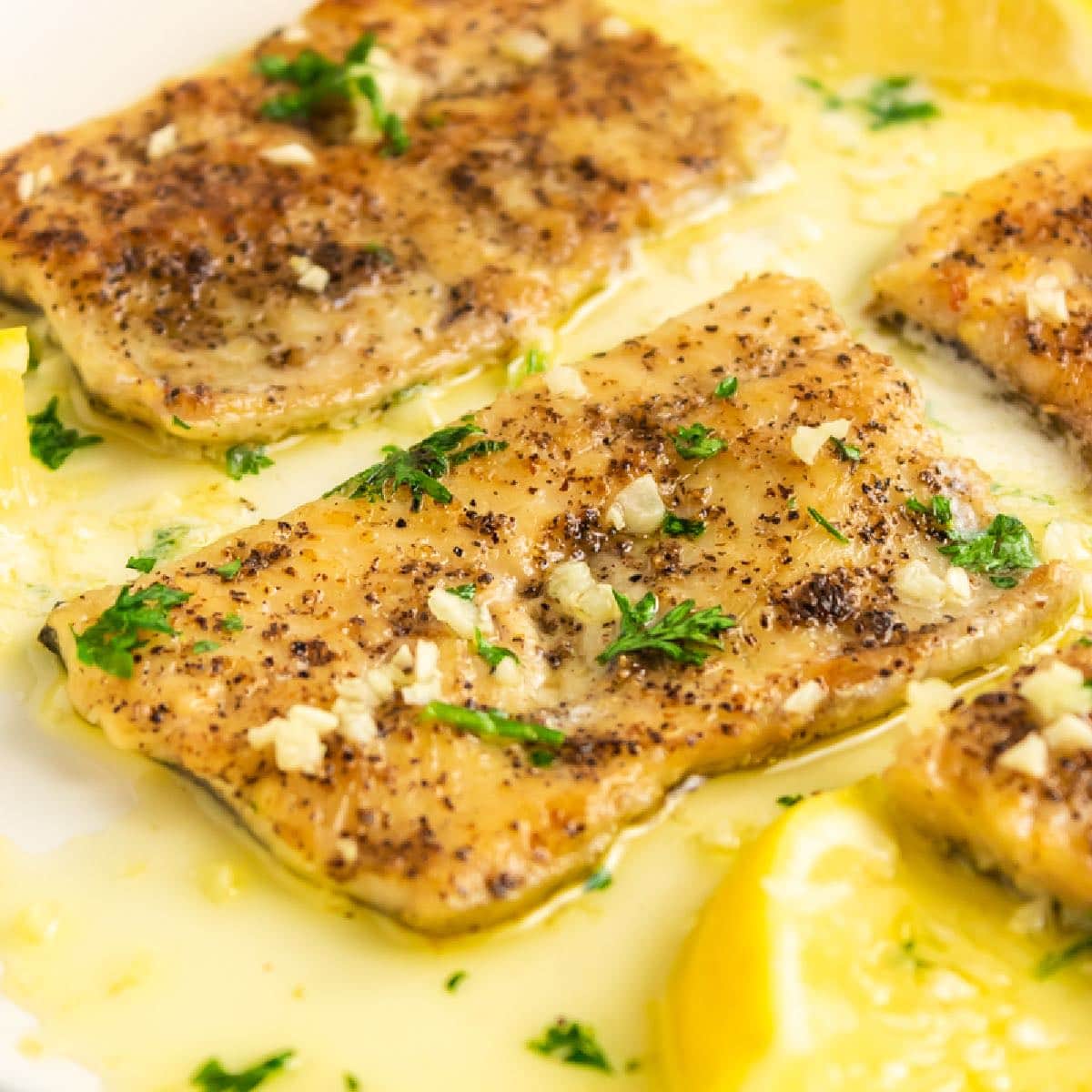 Best Grilled Rainbow Trout Fillet Recipe Bryont Blog