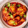 Chicken Vindaloo - The Big Man's World