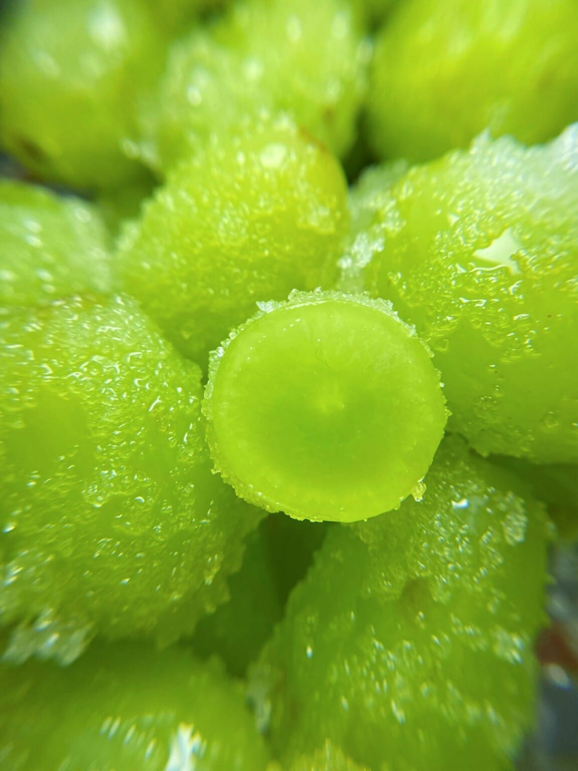 3-Ingredient Candy Grapes - The Big Man's World