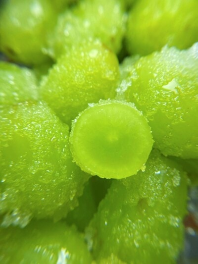 3-Ingredient Candy Grapes - The Big Man's World