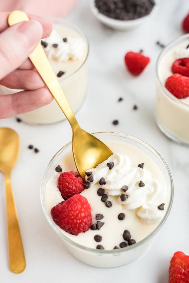 Protein Pudding Recipe {2 ingredients} - The Big Man's World