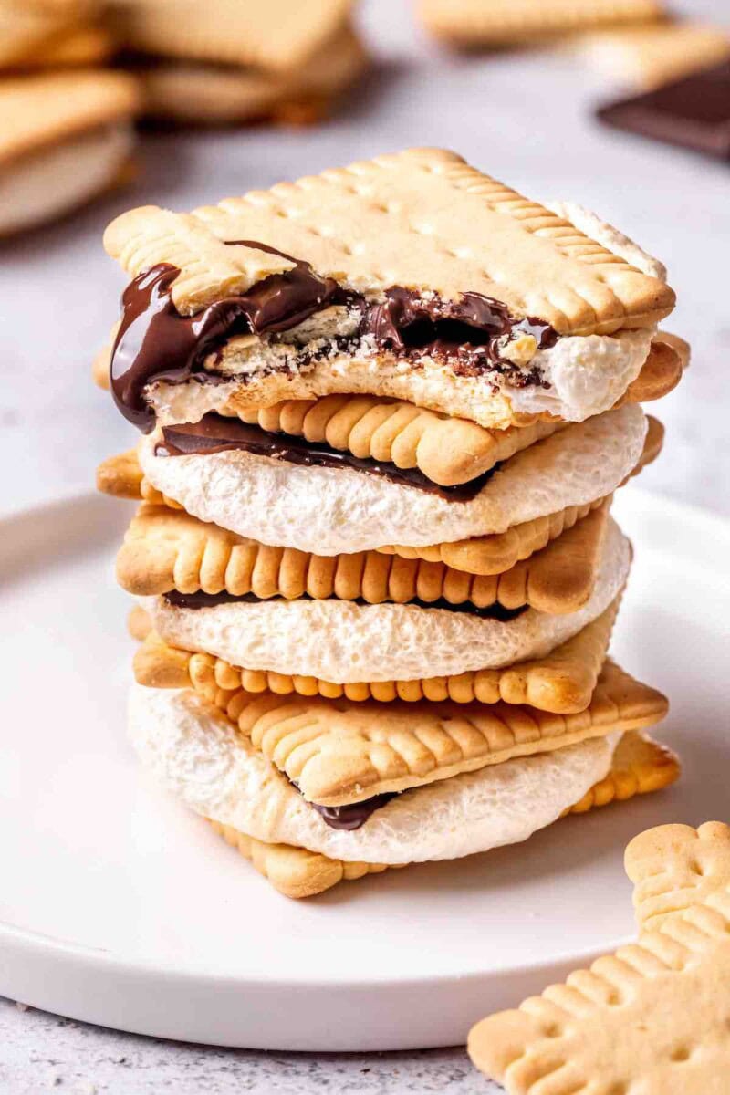 Air Fryer S'mores - The Big Man's World